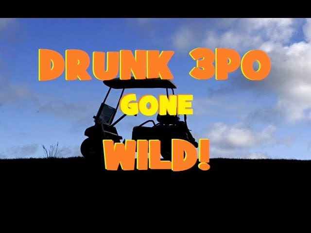DRUNK 3PO suspected of GOLF CART PODRACING in Florida WALMART ...