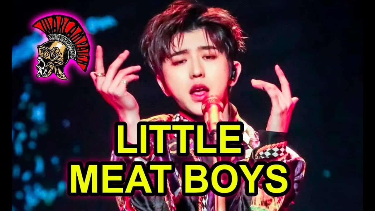 CHINA'S "LITTLE FRESH MEAT BOYS": WARCAMPAIGN REACTS - Comicsgate.org
