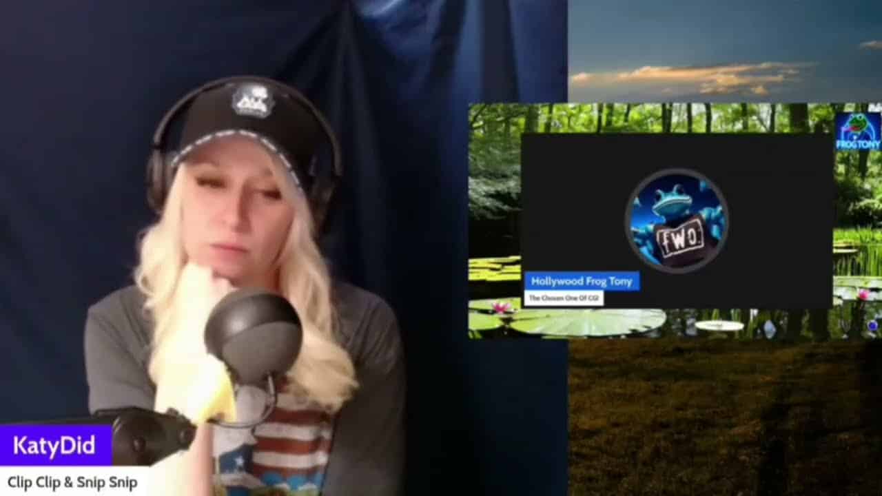 My Response To Frog Tony’s Farewell to the Internet - Comicsgate.org